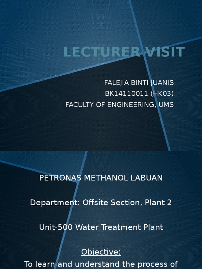 Lecturer Visit | PDF