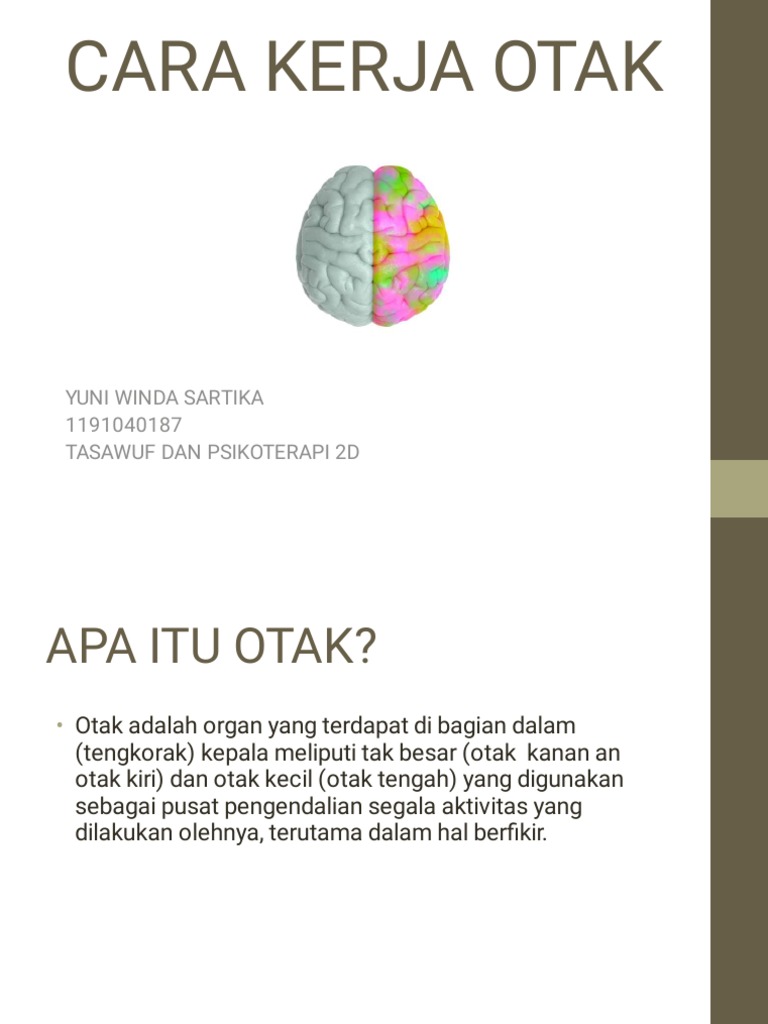Cara Kerja Otak PDF | PDF