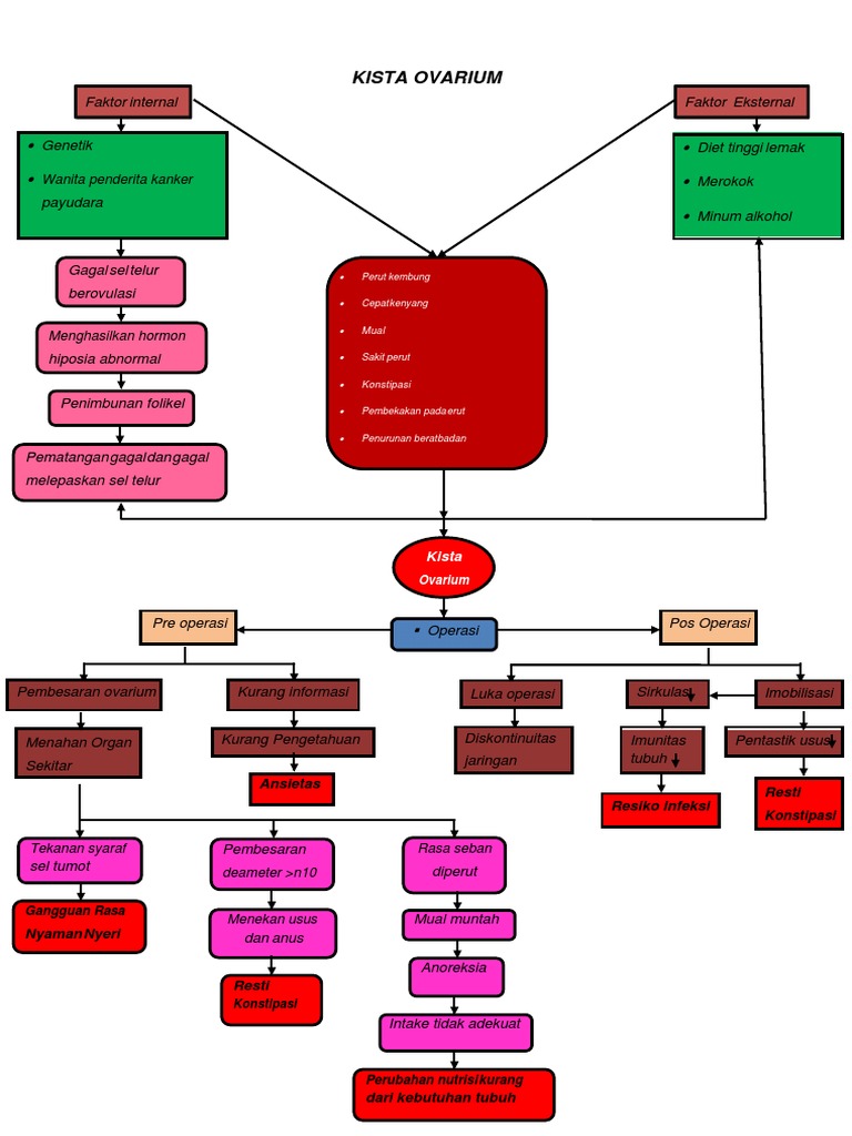 Pathway Kista Ovarium | PDF