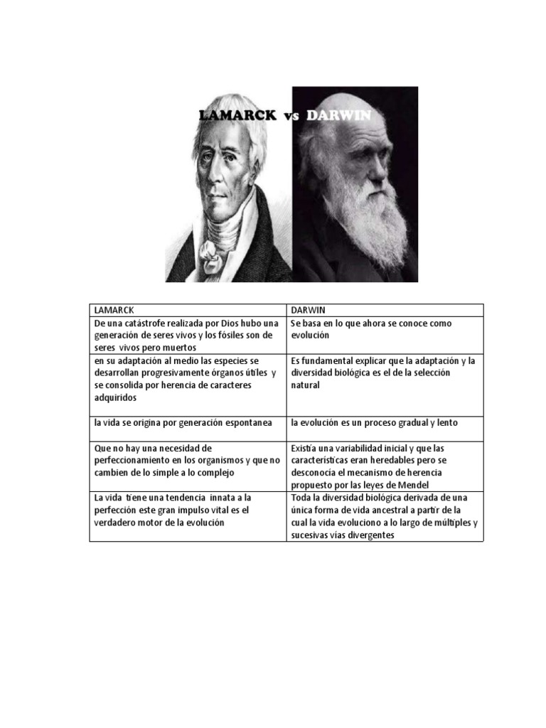 Evolución: Lamarck vs Darwin | PDF | Ciencia y matemáticas