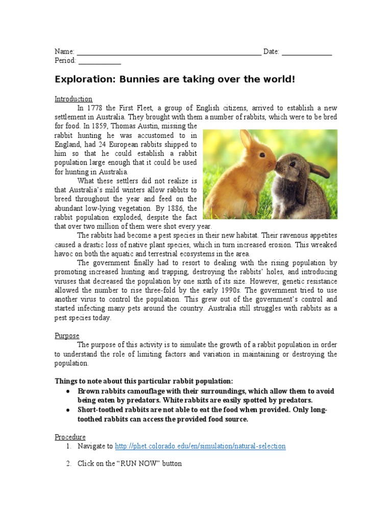 Exploration: Bunnies Are Taking Over The World! | Download Free PDF ...