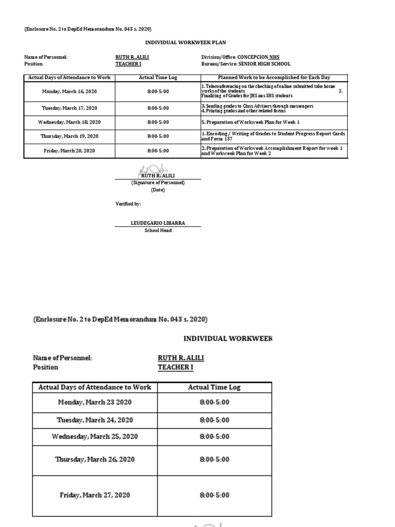 Individual Workweek Plan | PDF | Workweek And Weekend | Computing