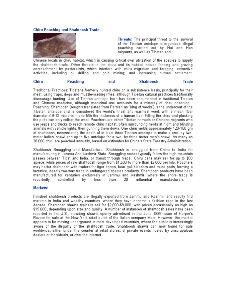 Chiru Poaching and Shahtoosh Trade | PDF | Poaching | Crime & Violence Chiru Poaching and Shahtoosh Trade | PDF | Poaching | Crime & Violence