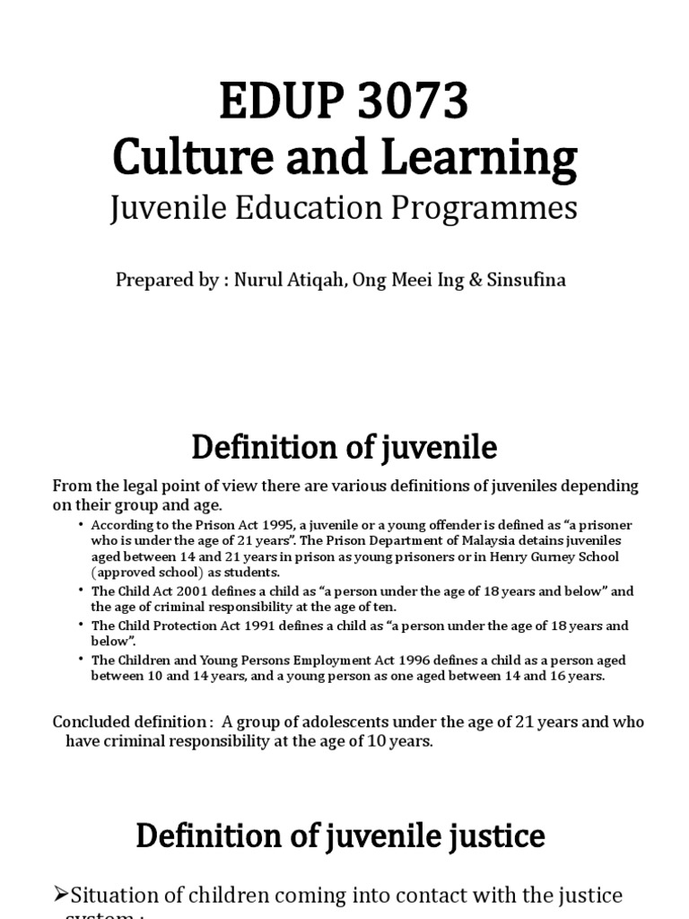 EDUP 3073 Culture and Learning: Juvenile Education Programmes | PDF | Rehabilitation (Penology ...