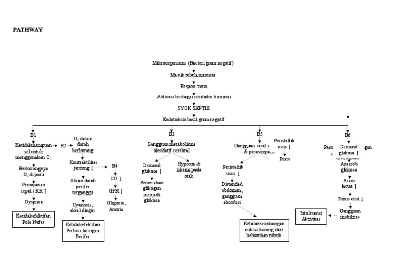Pathway Syok Sepsis | PDF