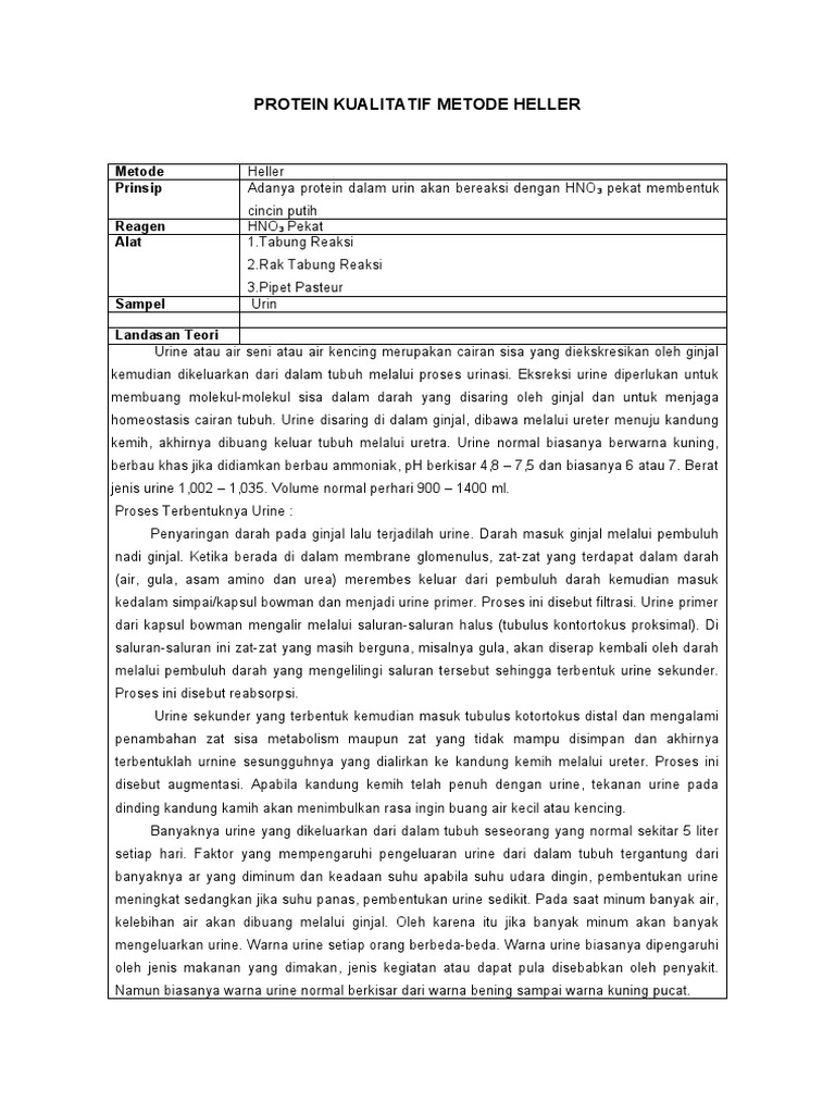 Protein Kualitatif Metode Heller | PDF