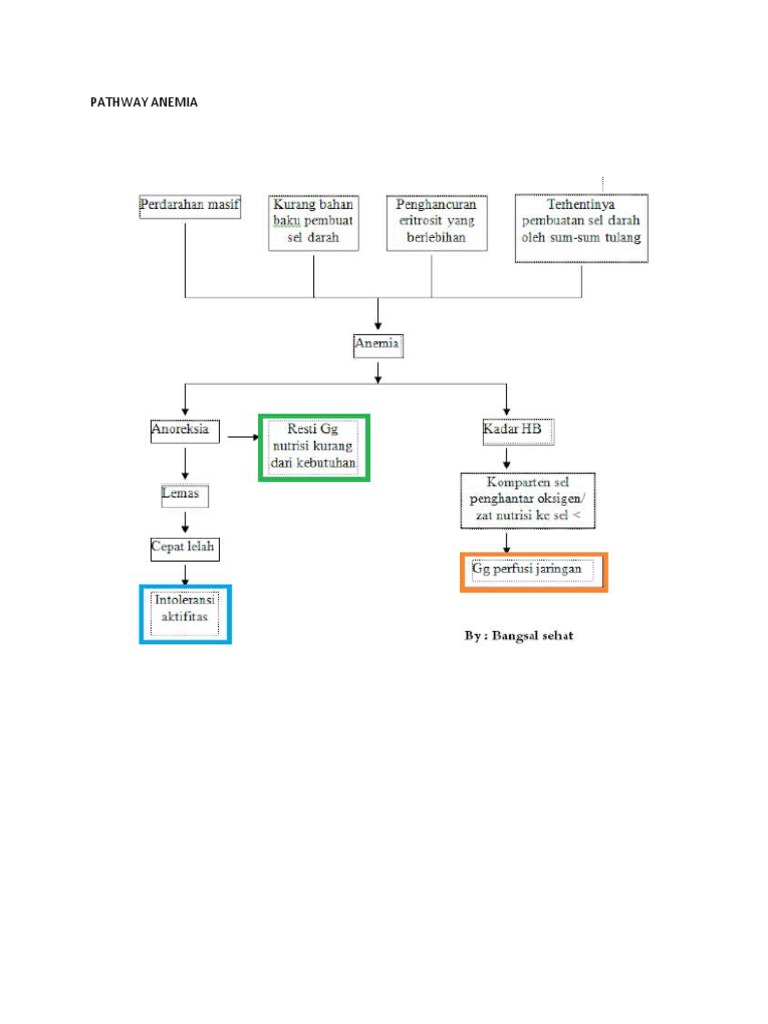 Pathway Anemia | PDF