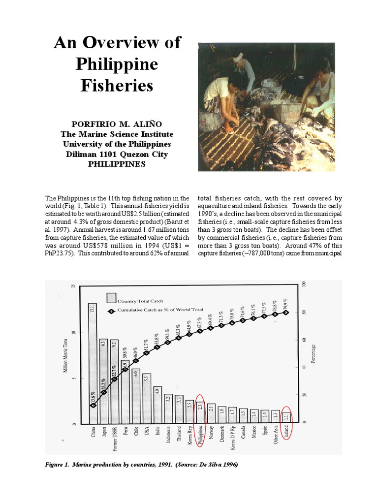 An Overview of The Philippine Fisheries | PDF | Fishery | Overfishing