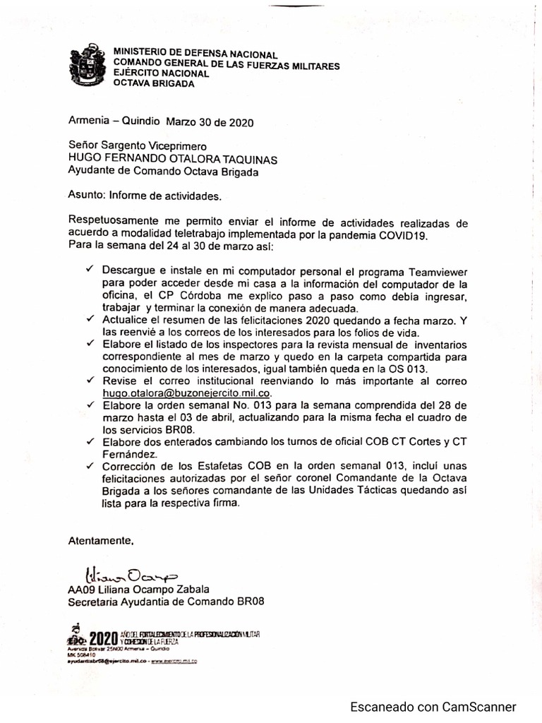 Resumen Valido de Actividad PDF | PDF