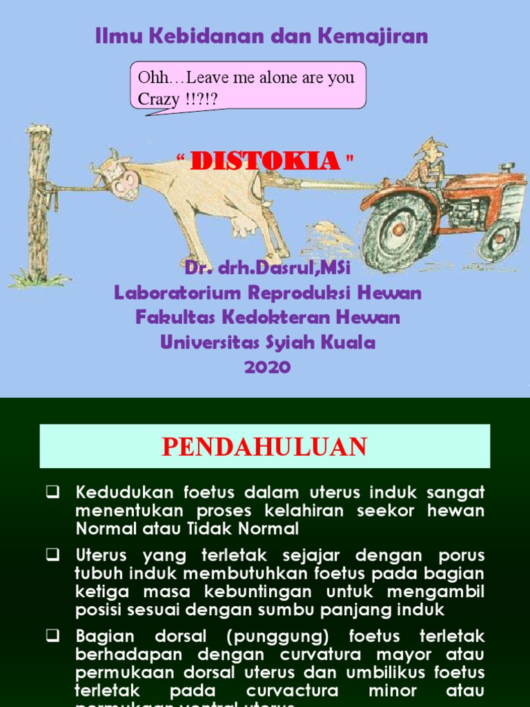Distokia Dan Penanganannya (Tugas Kel. 1) PDF | PDF