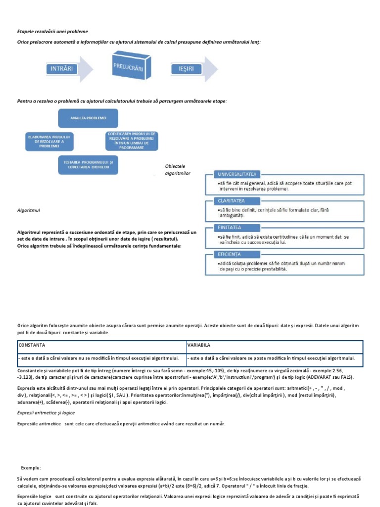 Etapele Rezolvării Unei Probleme | PDF