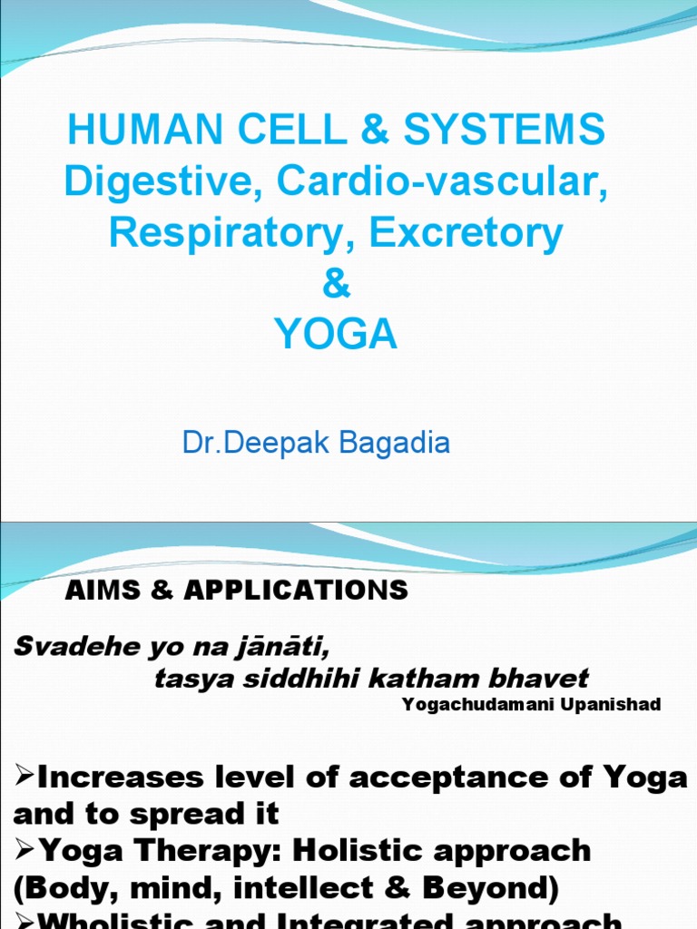 Human Anatomy and Yoga Therapy Insights | PDF | Respiratory Tract ...