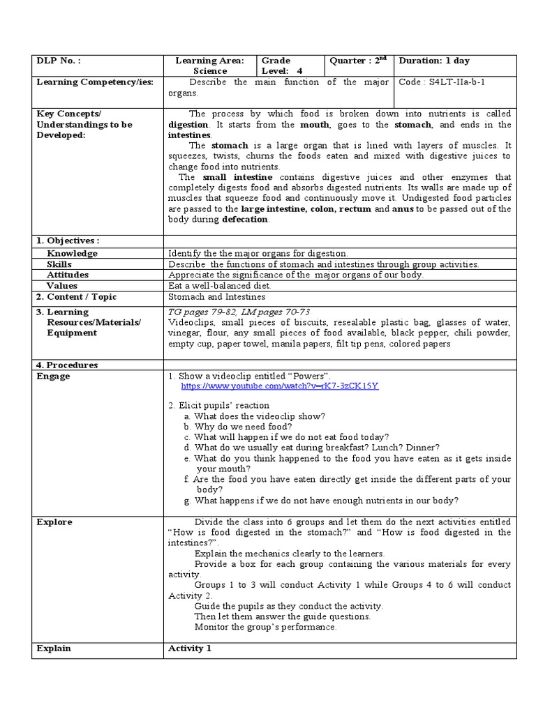 Lesson Plan On Digestion in Stomach and Intestines Grade 4 | Download ...