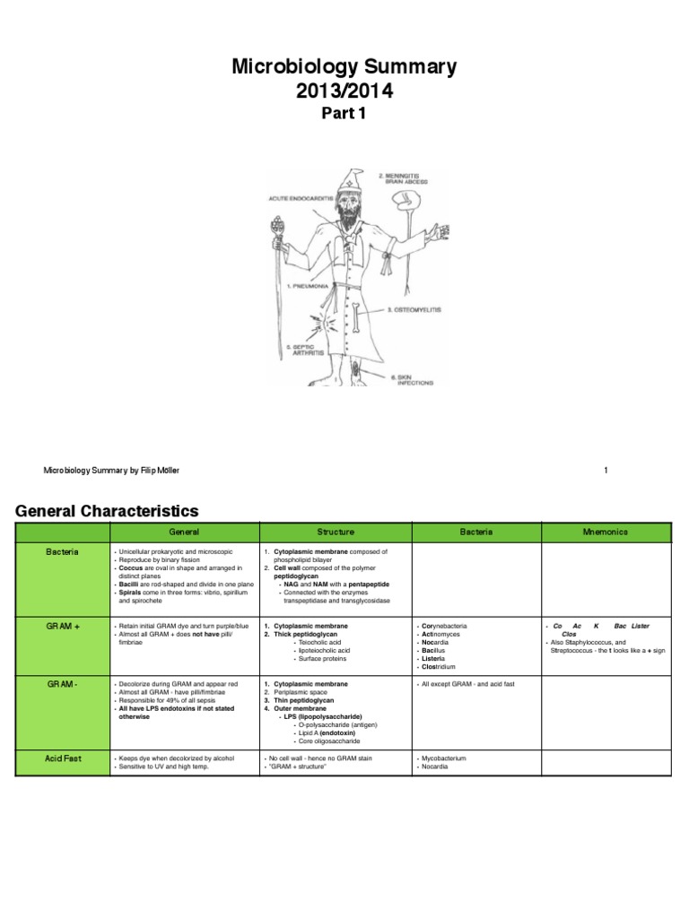 Microbiology Summary 13 - 14 Part 1 | PDF | Streptococcus | Anthrax
