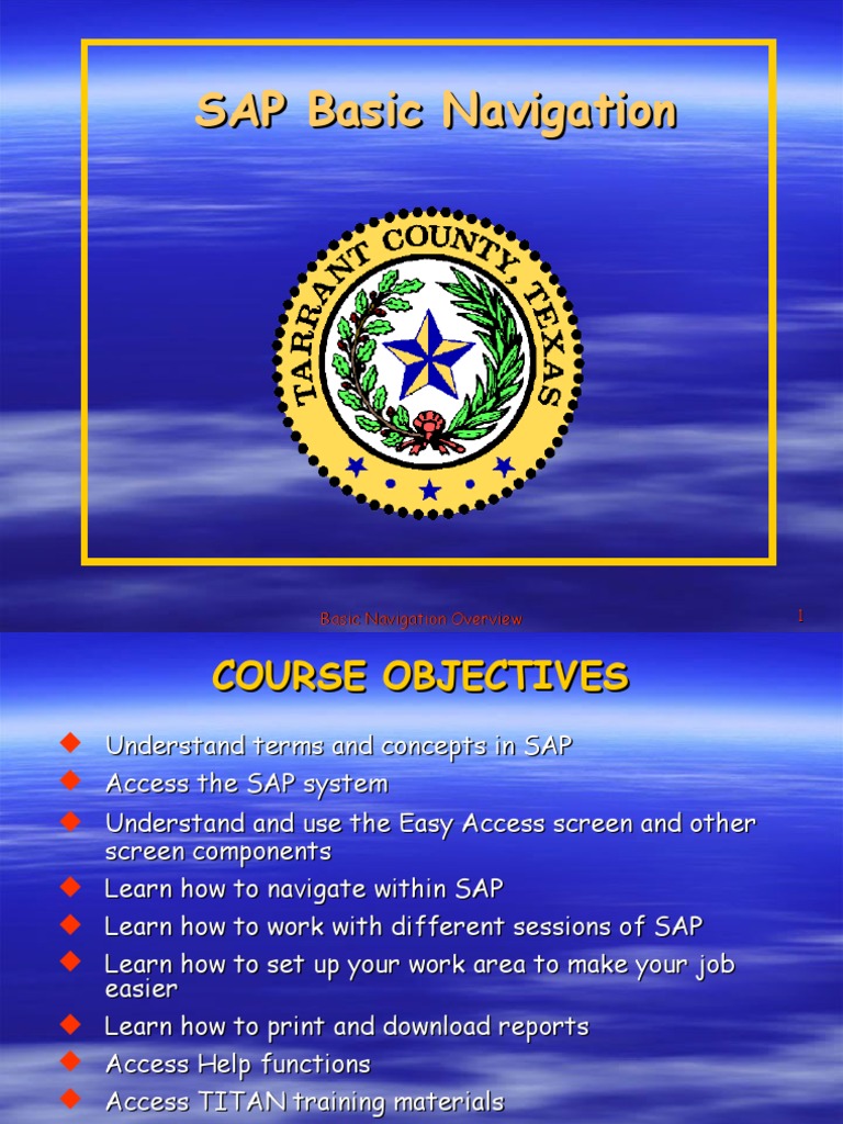 SAP Basic Navigation | PDF | Microsoft Excel | Icon (Computing)