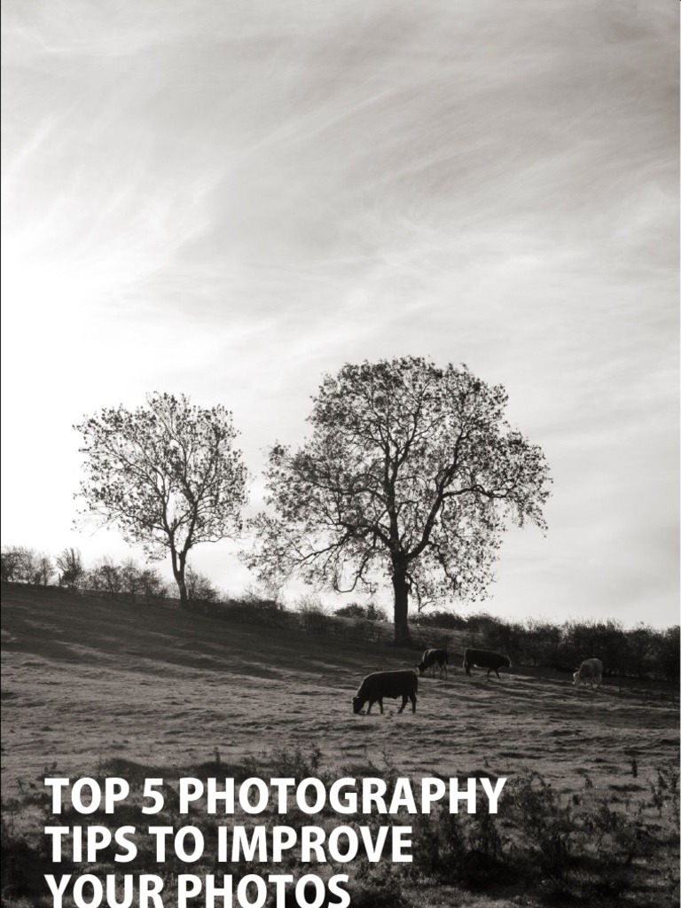 Top 5 Photography Tips To Improve Your Photos | PDF | Shutter Speed ...