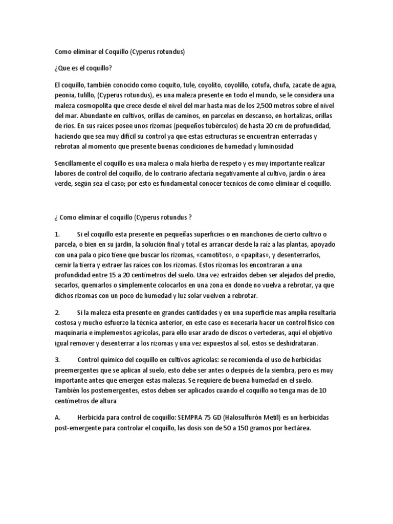 Control efectivo del coquillo (Cyperus rotundus) | PDF | Botánica | Plantas