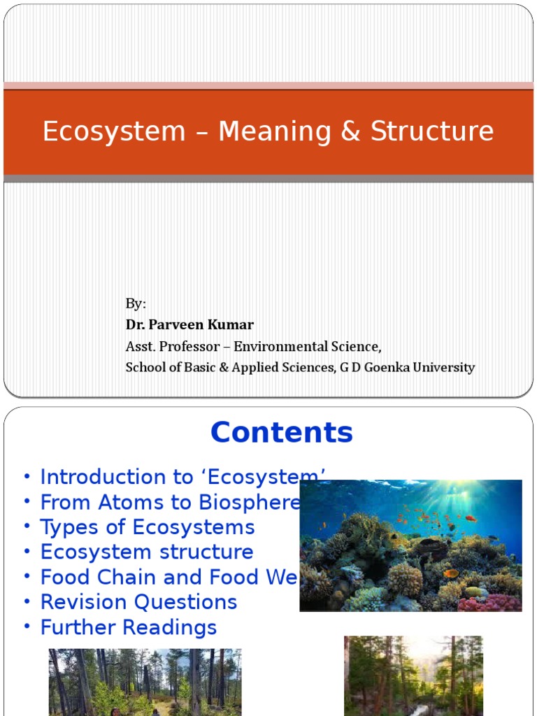 Ecosystem - Meaning and Structure | PDF | Ecosystem | Food Web