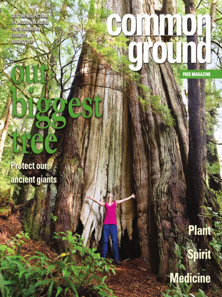 CG241 2011-08 Common Ground Magazine | PDF | Metabolic Syndrome | Diabetes