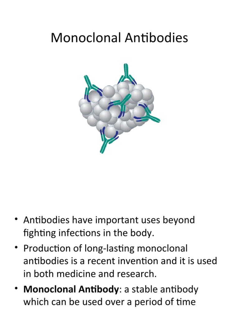 Monoclonal Antibodies: Uses and Production | PDF | Monoclonal Antibody ...