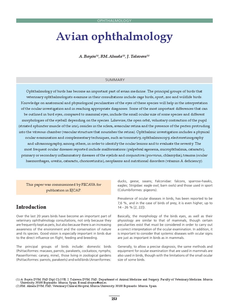 Avian Ophthalmology: A. Bayón, RM. Almela, J. Talavera | PDF | Human ...