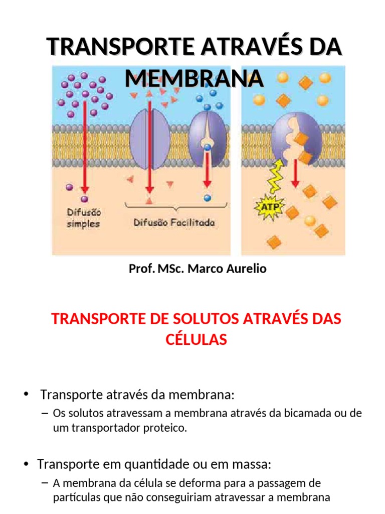 Aula 5 - Transporte Através Da Membrana Plasmatic | PDF | Membrana celular | Difusão