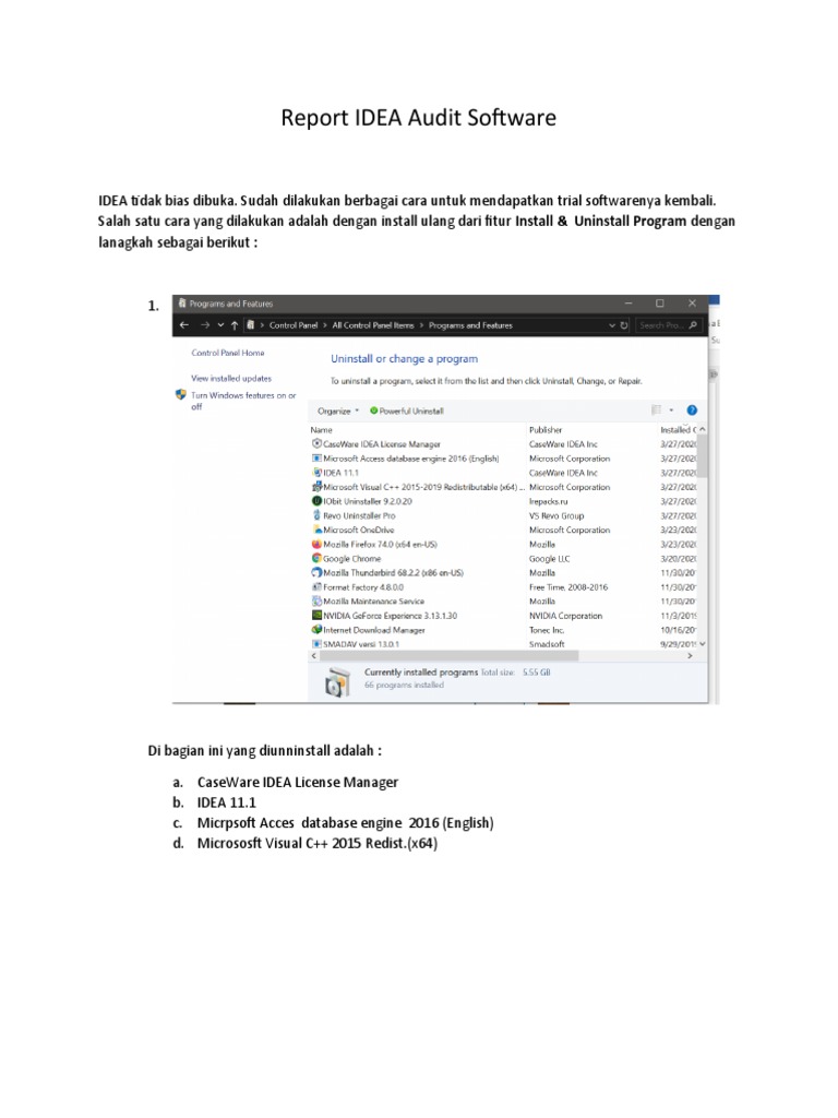 Report IDEA Audit Software | PDF