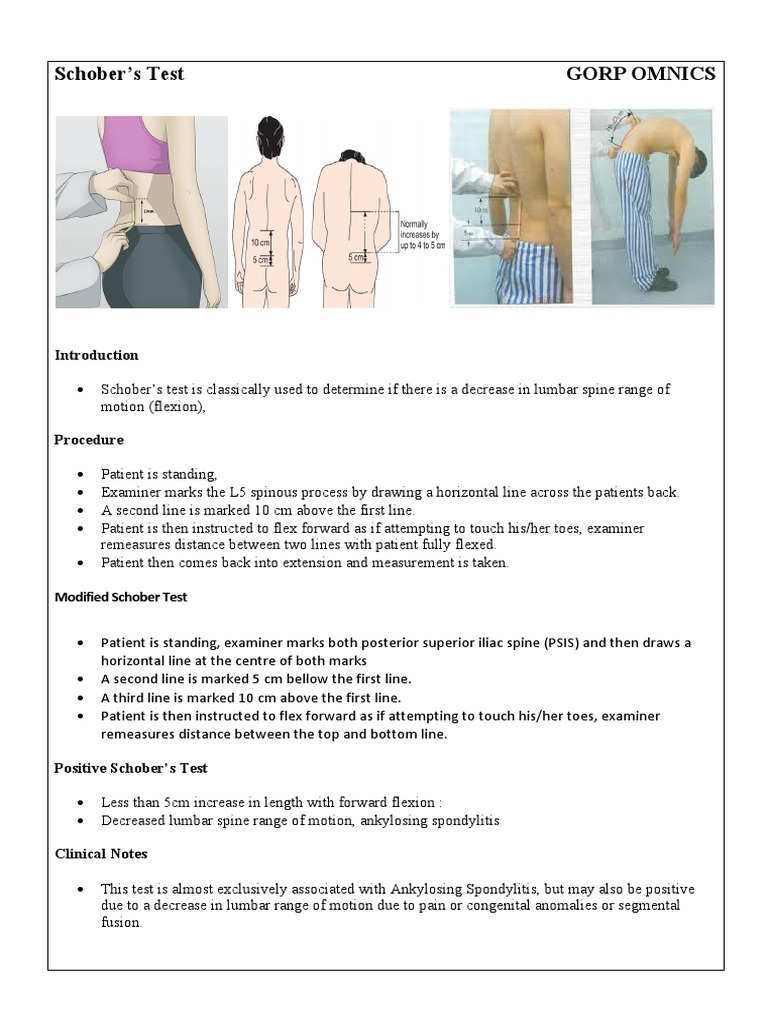 Week 4 Ortho Tests | PDF | Back Pain | Anatomical Terms Of Motion