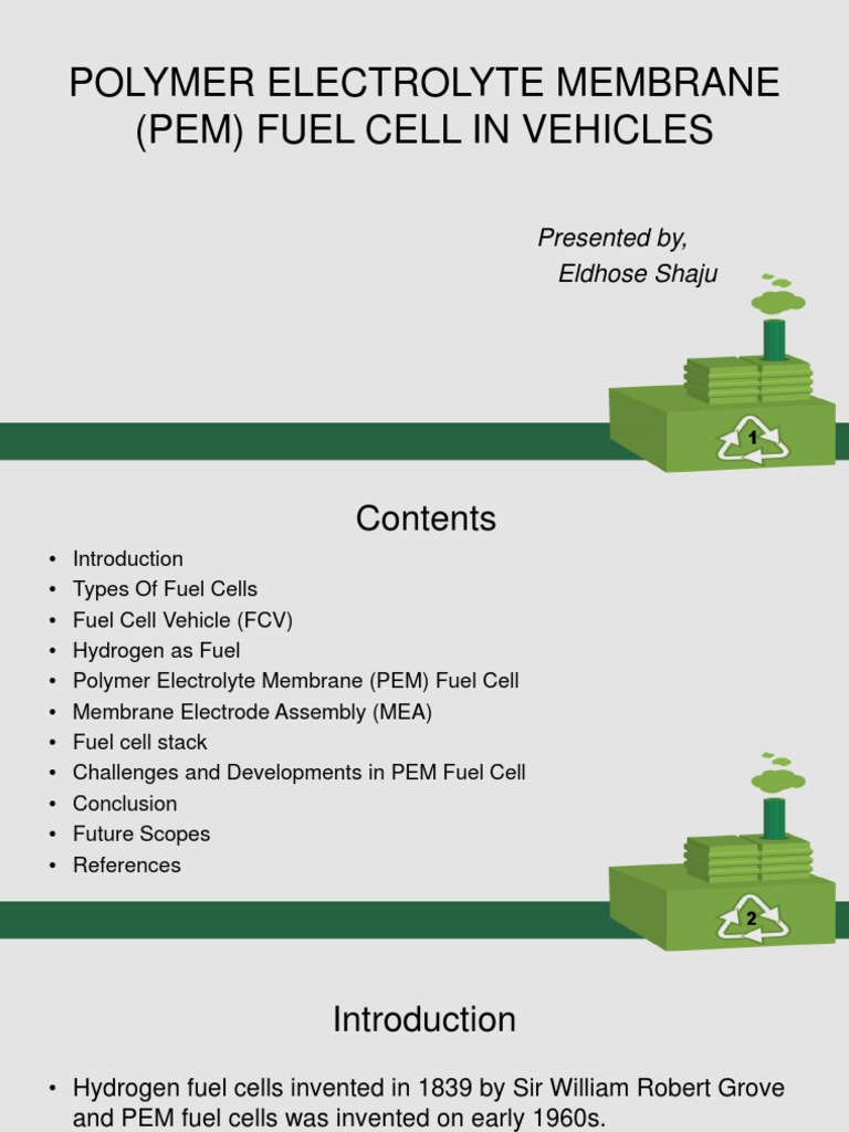 Polymer Electrolyte Membrane (Pem) Fuel Cell | PDF | Fuel Cell | Fuels