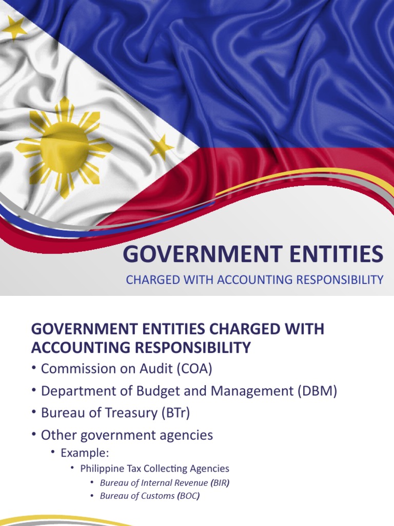Government Entities and Their Accounting Roles | PDF | Customs | Taxes