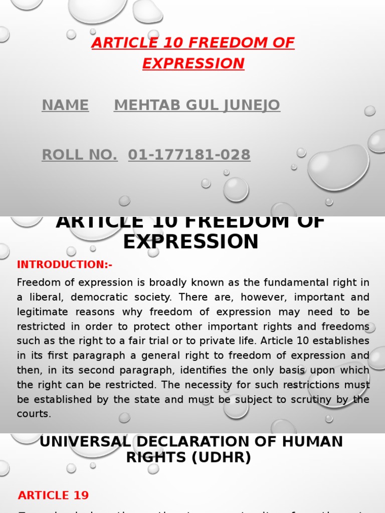 Article 10 Freedom of Expression | PDF | Hate Speech | Freedom Of Speech