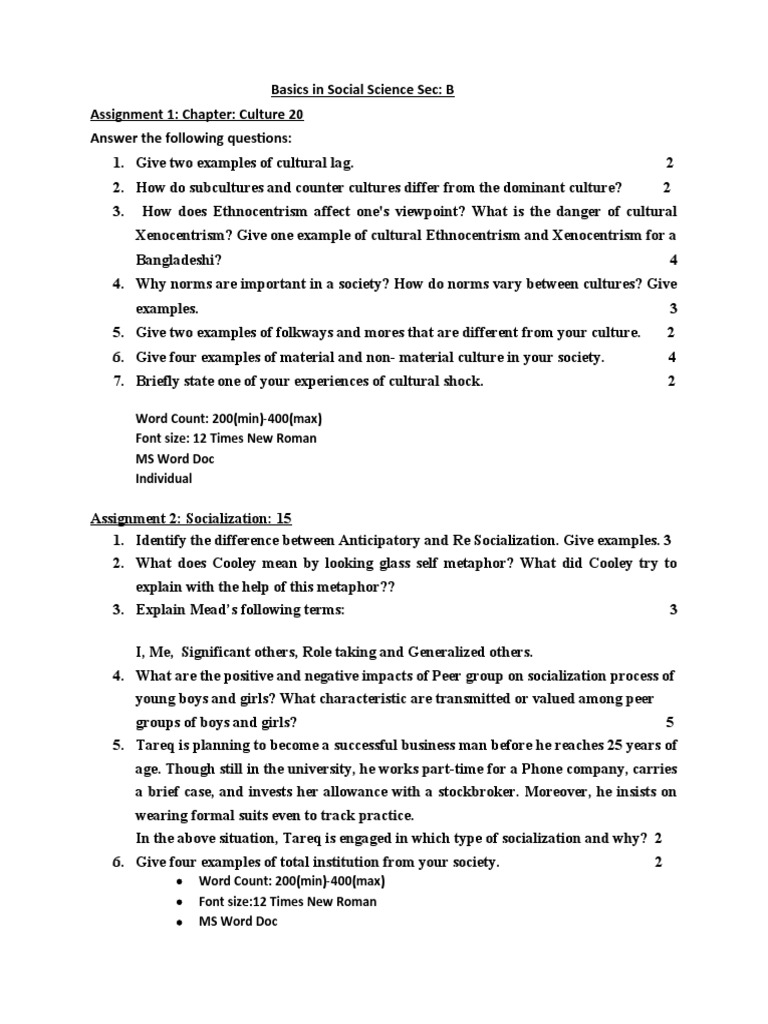 Social Science Assignment | PDF | Amish | Socialization