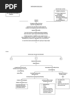 Physiology of Normal Spontaneous Delivery | PDF | Fetus | Human ...
