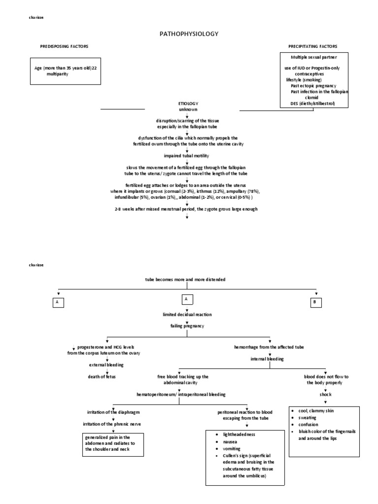 Pathophysiology of Ruptured Ectopic Pregnancy | PDF | Uterus | Women's ...