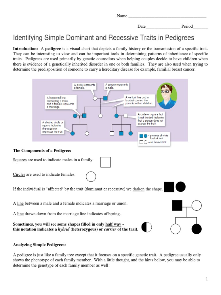 Identifying Simple Dominant and Recessive Traits in Pedigrees | PDF ...