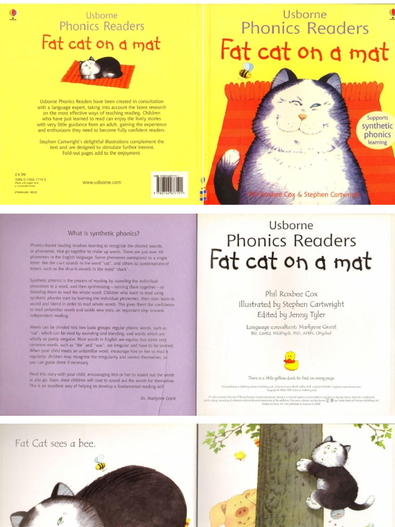 Fat Cat On A Mat Book PDF | PDF