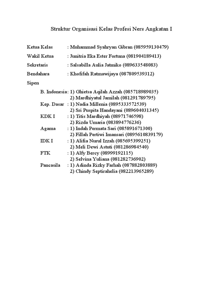 Struktur Organisasi Kelas Profesi Ners Angkatan I | PDF