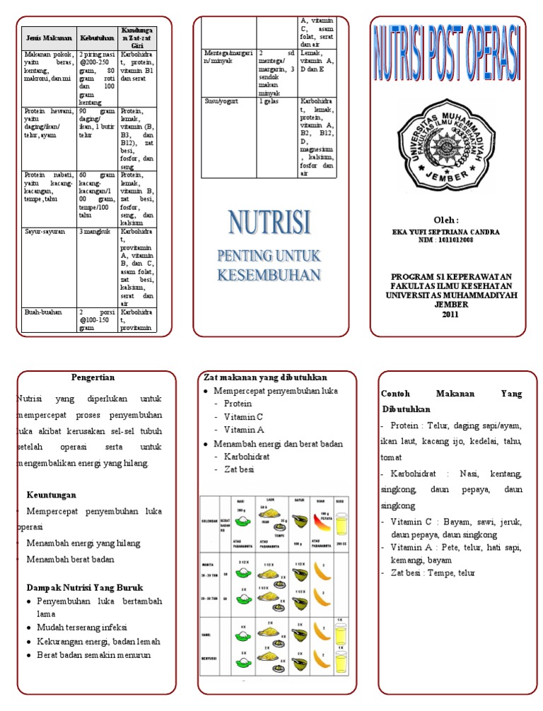 Leaflet Nutrisi | PDF