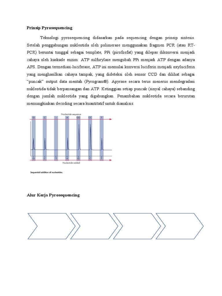 Pyrosequencing | PDF