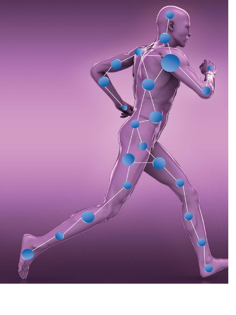Fascia Article by T Myers | PDF
