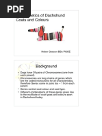 Wolvden Base Coat Genetics Guide | PDF | Nature