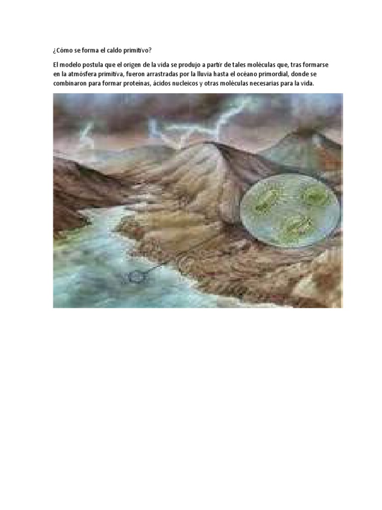 Cómo Se Forma El Caldo Primitivo | PDF