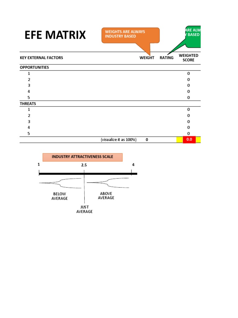 EFE Matrix Analysis Overview | PDF | E Commerce | Business Economics