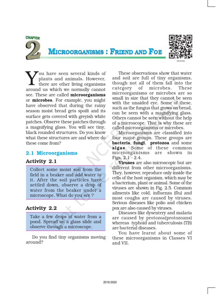 CBSE Class 8 NCERT Science Book MICROORGANISMS ICROORGANISMS FRIEND ...