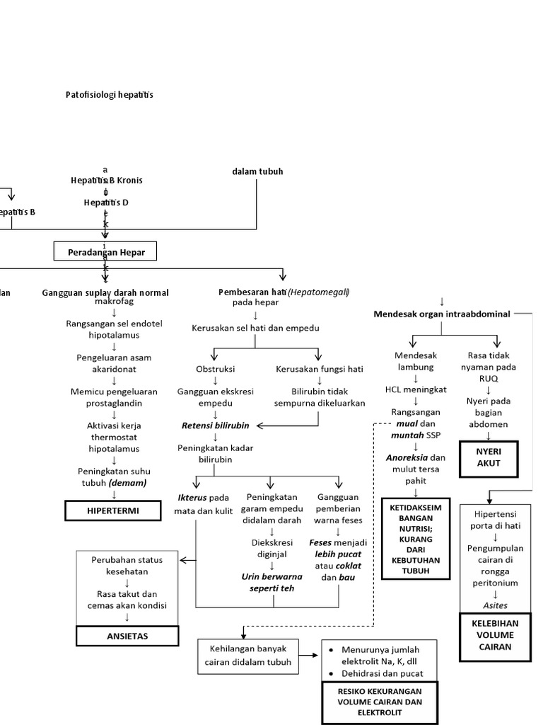 Pathway Hepatitis | PDF