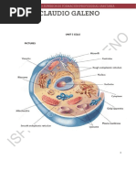 RAH Map | PDF | Patient | Radiology