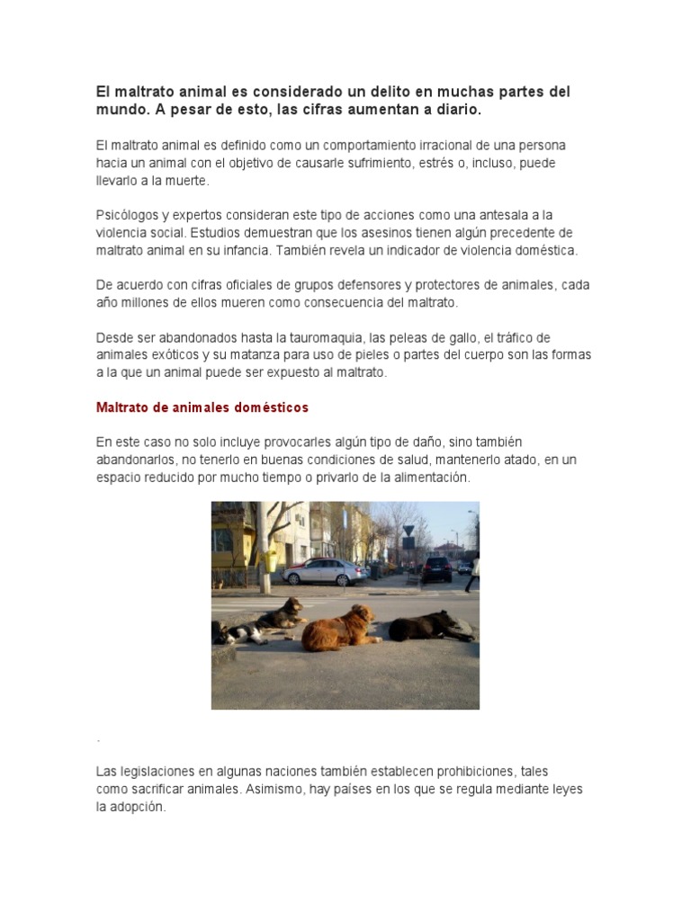 El Maltrato Animal Es Considerado Un Delito en Muchas Partes Del Mundo ...