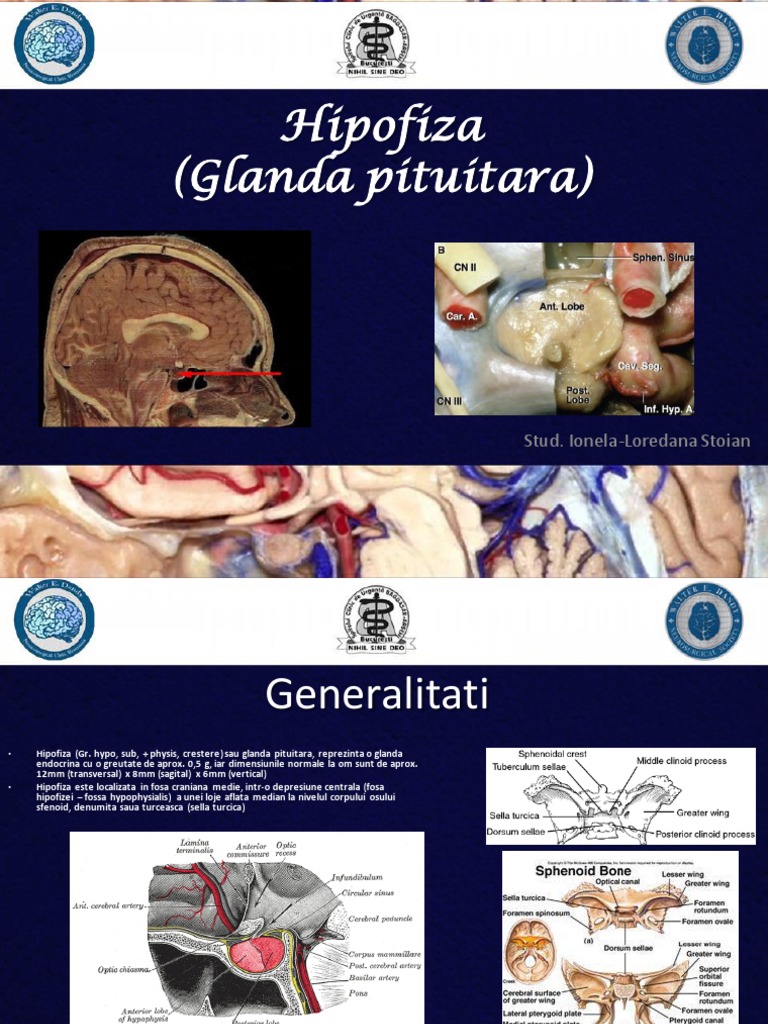 Hipofiza - Anatomie PDF | PDF