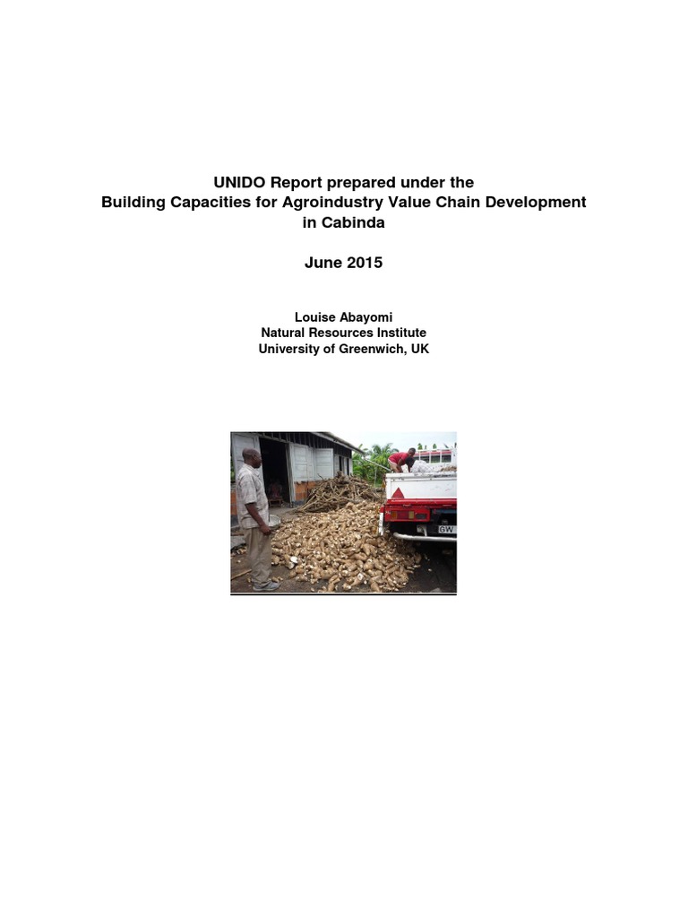 Unido Cassava Value Chain Report Final | PDF | Prices | Retail