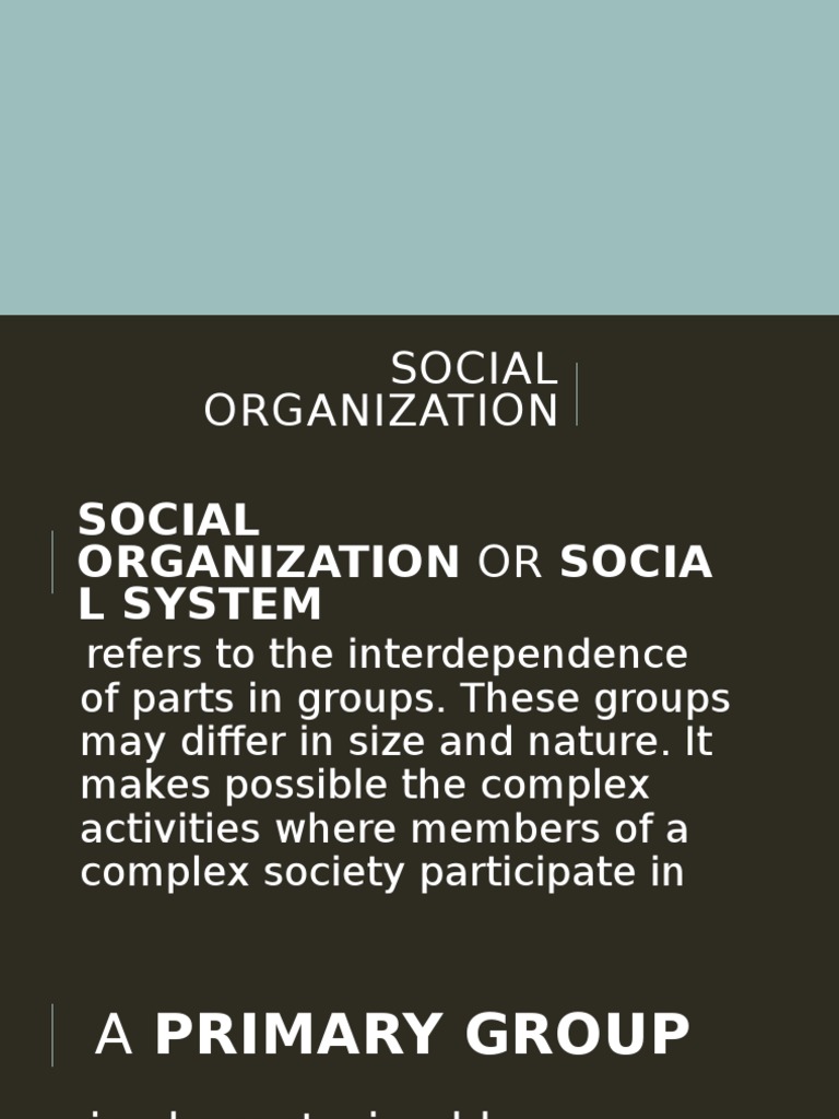 Social Organization | PDF | Sociological Theories | Social Psychology